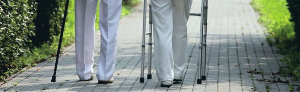 Dispozitive de mers - Vital Logistic